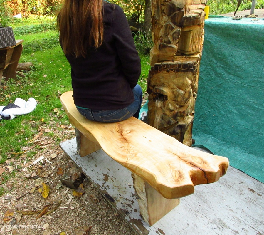 Maple Bench from Recovered Log – PRAIRIE BENCH